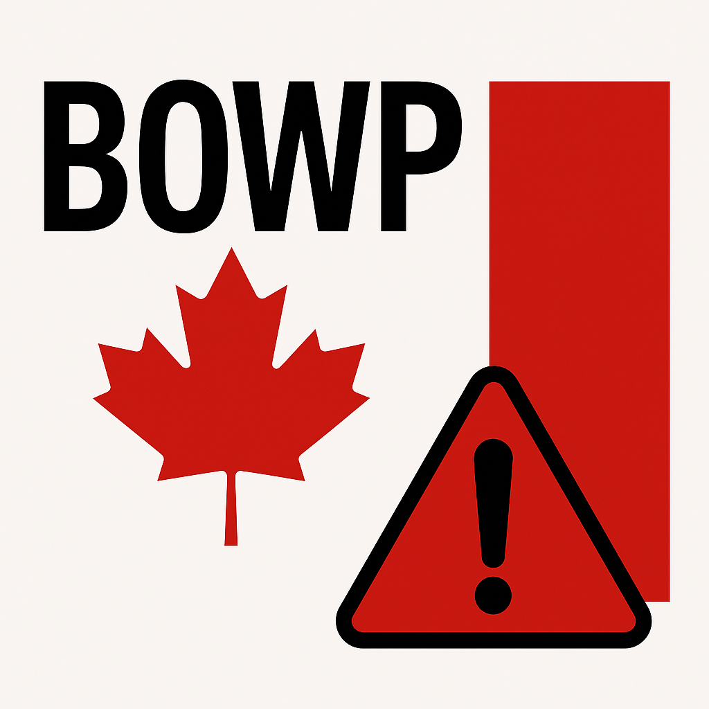 🚨 加拿大BOWP桥梁工签重大利好！ – BISSI